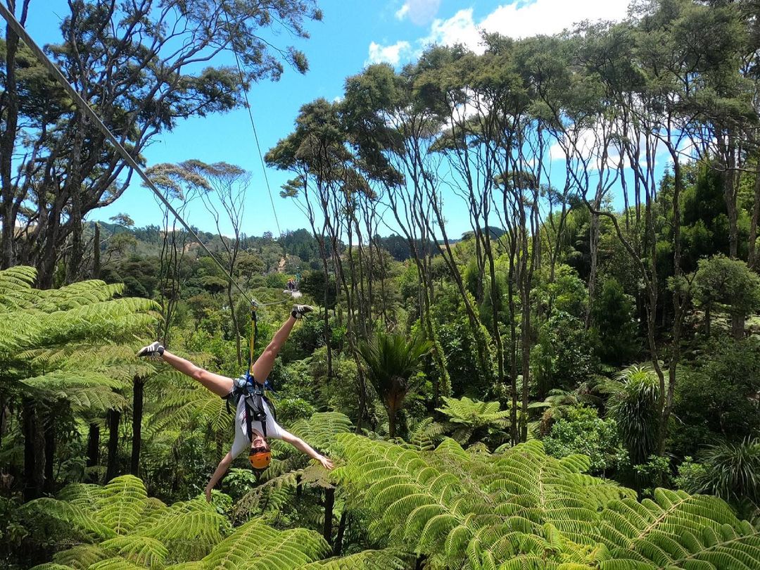 The 8 Best Zipline Tours in New Zealand
