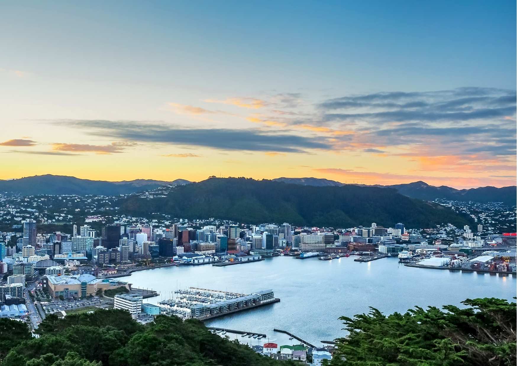 The 10 Best Short Walks in Wellington