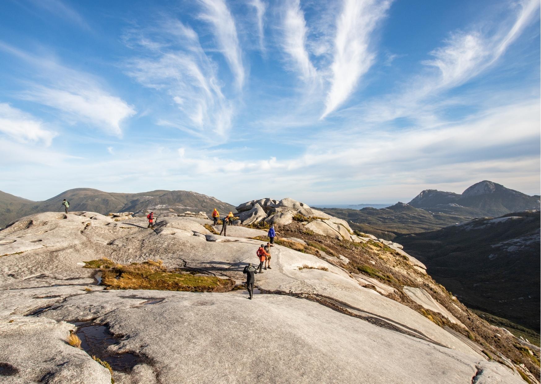 The Ultimate Stewart Island Experience