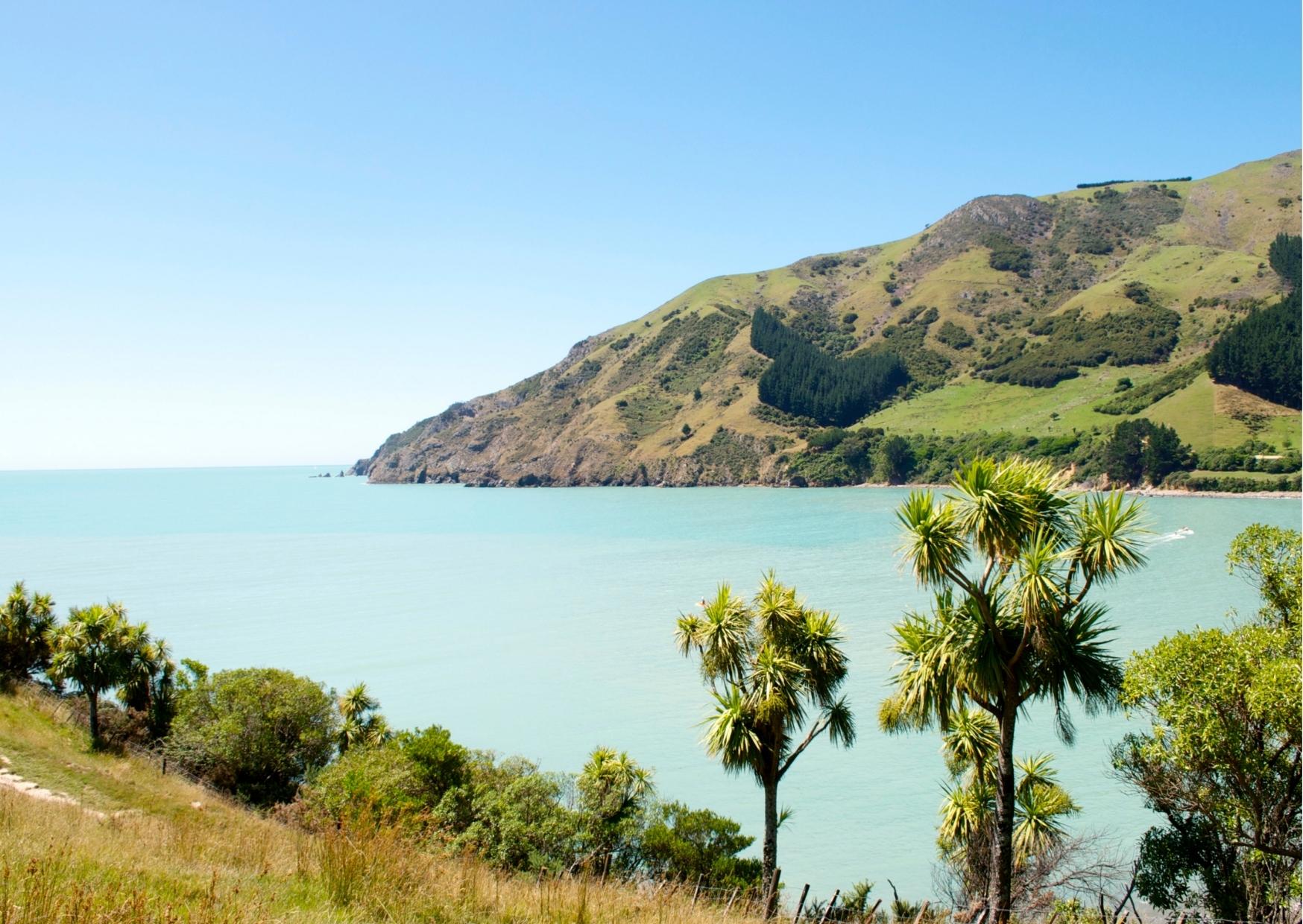Cable Bay: One Of New Zealand's Hidden Gems