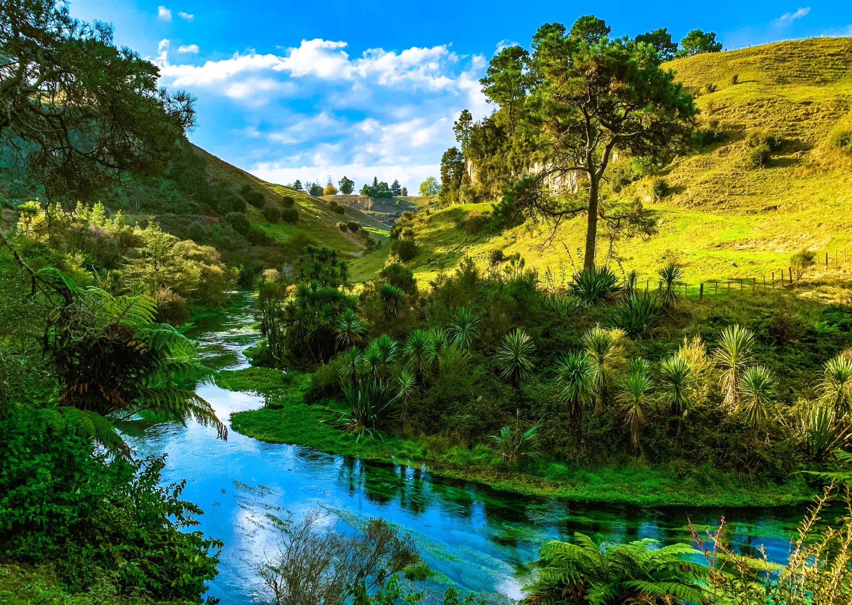 Blue Spring Blues: Iconic Walkway Off-Limits for now
